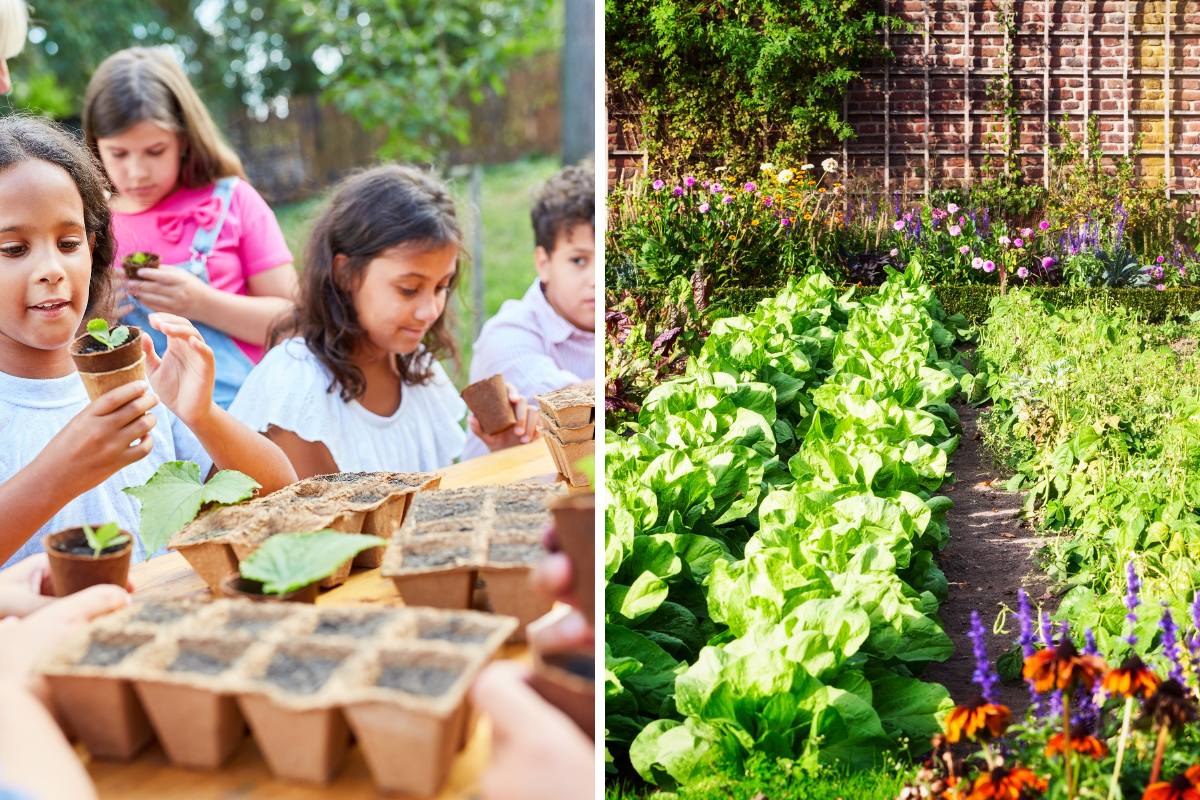 12 Fun Games for Teaching Healthy Eating - LOLO